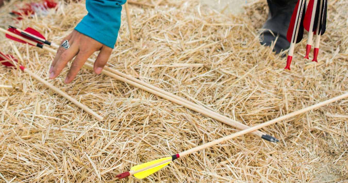 Best Wood For Arrows