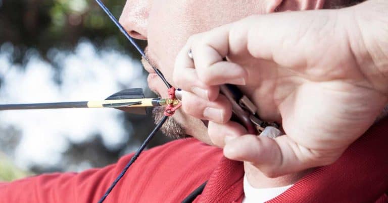 Different Archery Release Types? Best Guide for Beginners!